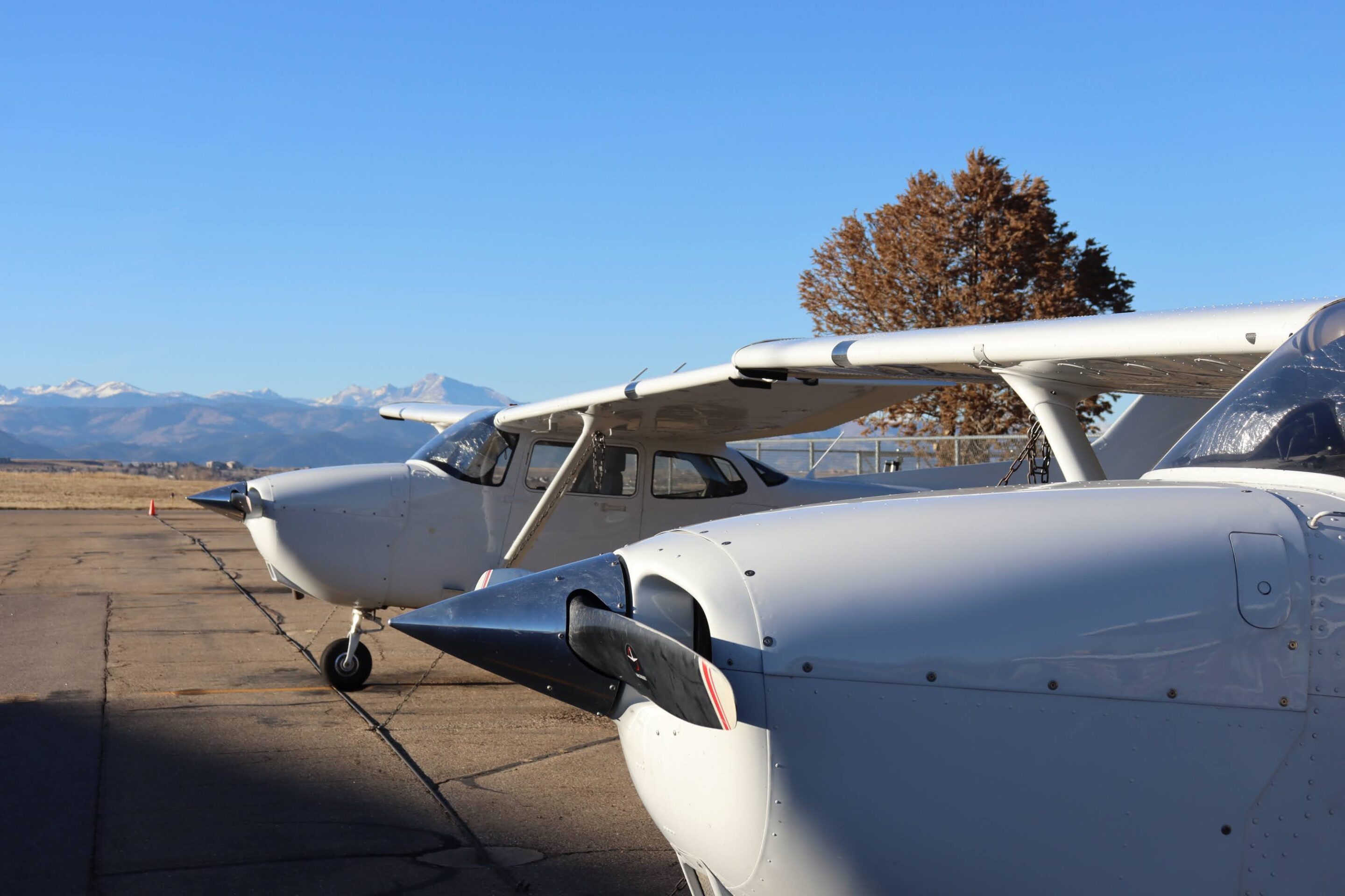 Furry Friends and Flyers - Wings Over The Rockies